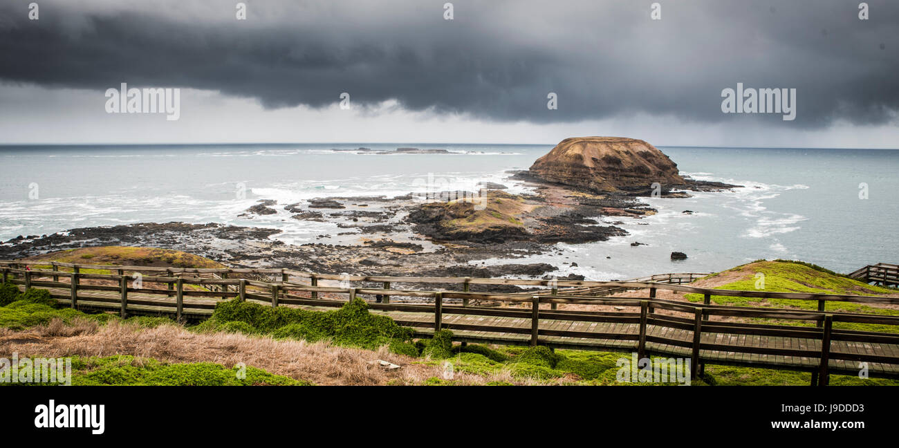Pillip island hi-res stock photography and images - Alamy
