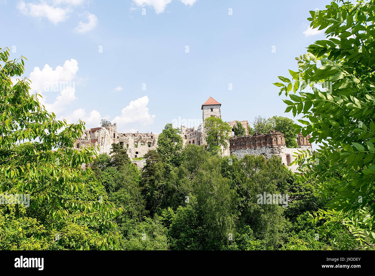 Castle Tenczyn in Rudno (Poland Stock Photo - Alamy