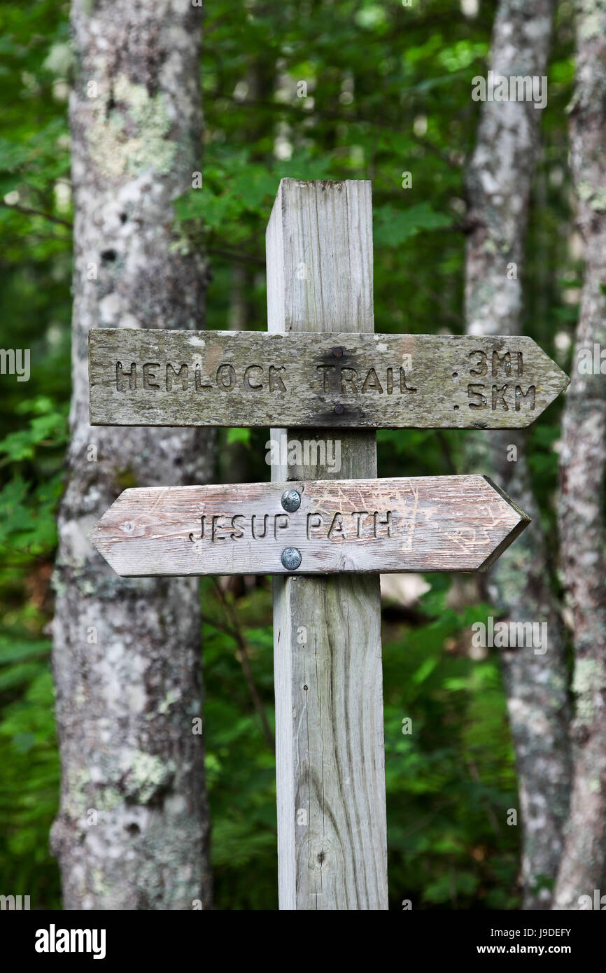 hike, go hiking, ramble, direction, hiking, sign, forest, wood, hike ...