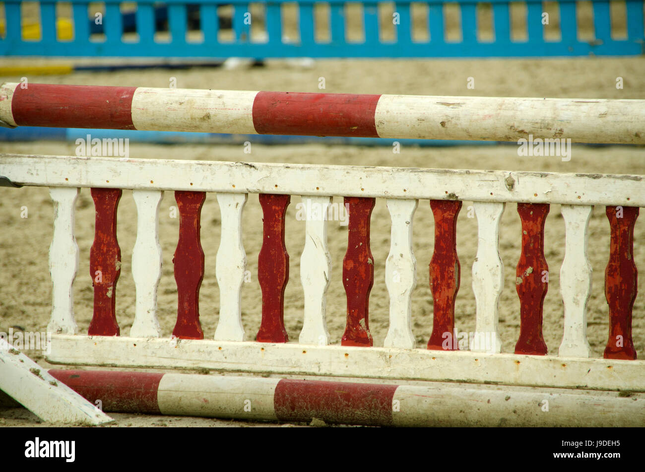 ride, spring, bouncing, bounces, hop, skipping, frisks, jumping, jump ...