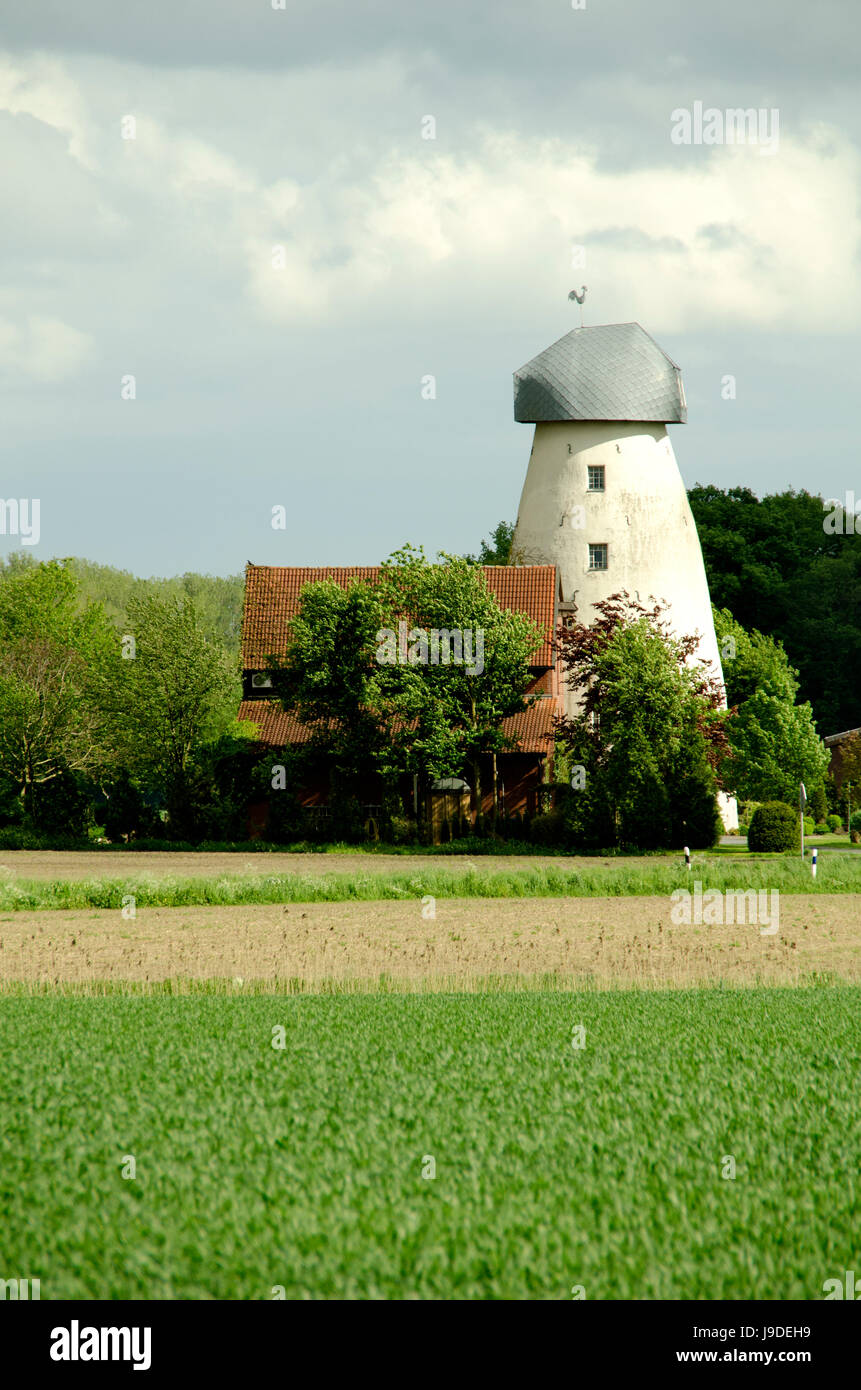 agriculture, farming, mill, recording, meadow, scenery, countryside ...