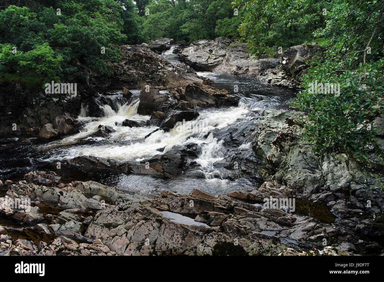 deciduous tree, scotland, nobody, current of the river, forest, water ...