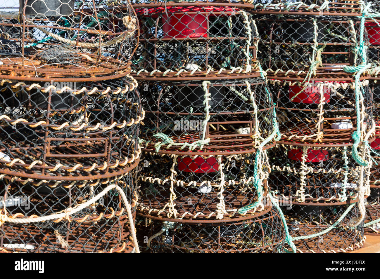 Crayfish nets are stacked for selling Stock Photo - Alamy