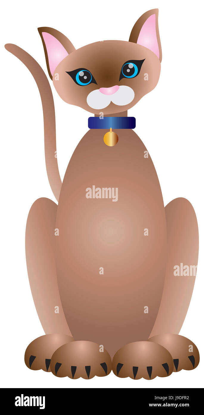 Cat sit mat hi-res stock photography and images - Alamy