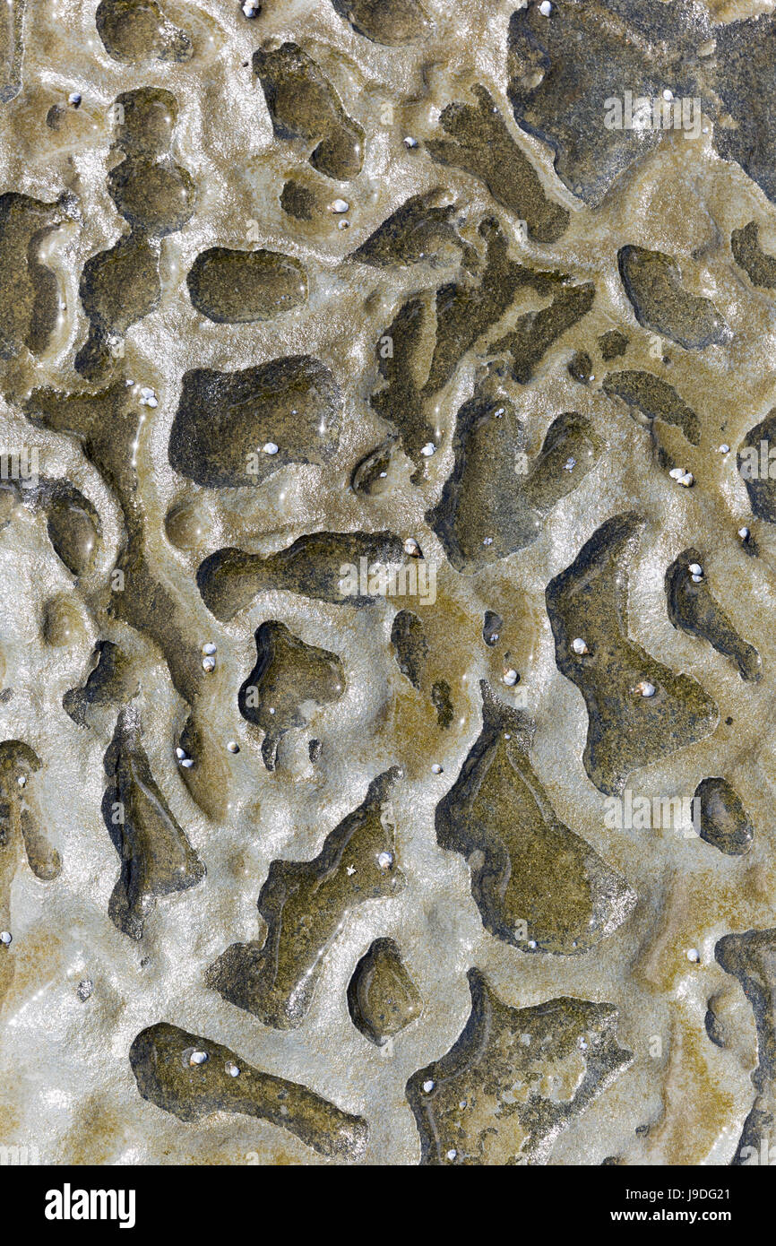 Rock texture captured from under water Stock Photo - Alamy