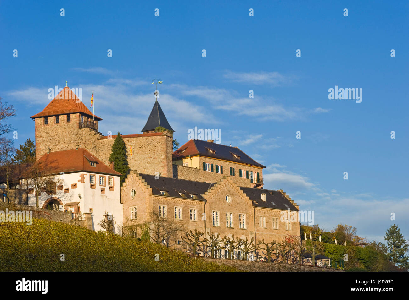 Schloss eberstein vineyard hi-res stock photography and images - Alamy