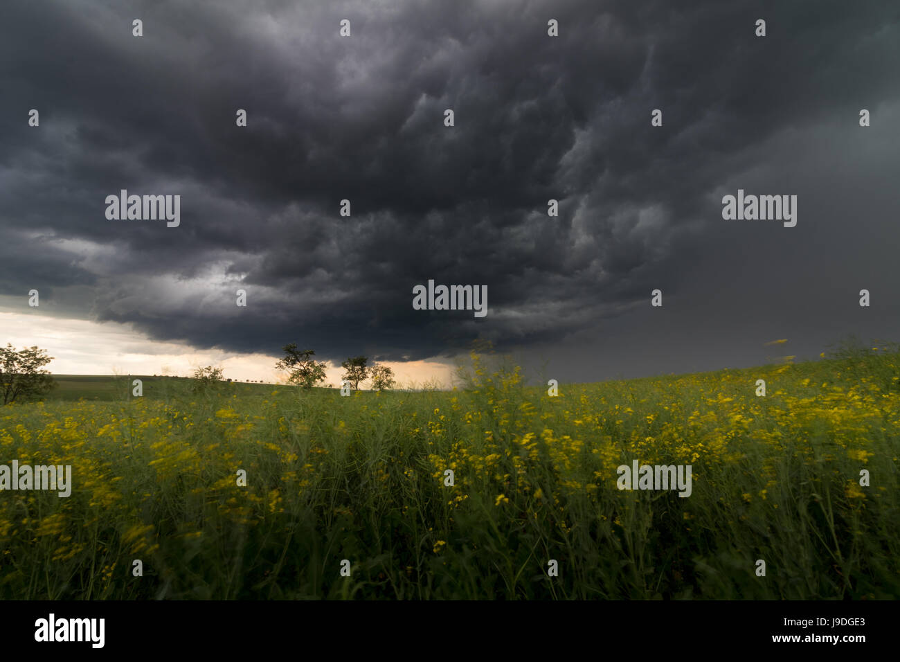 Dark stormy clouds over the fields in summer Stock Photo - Alamy