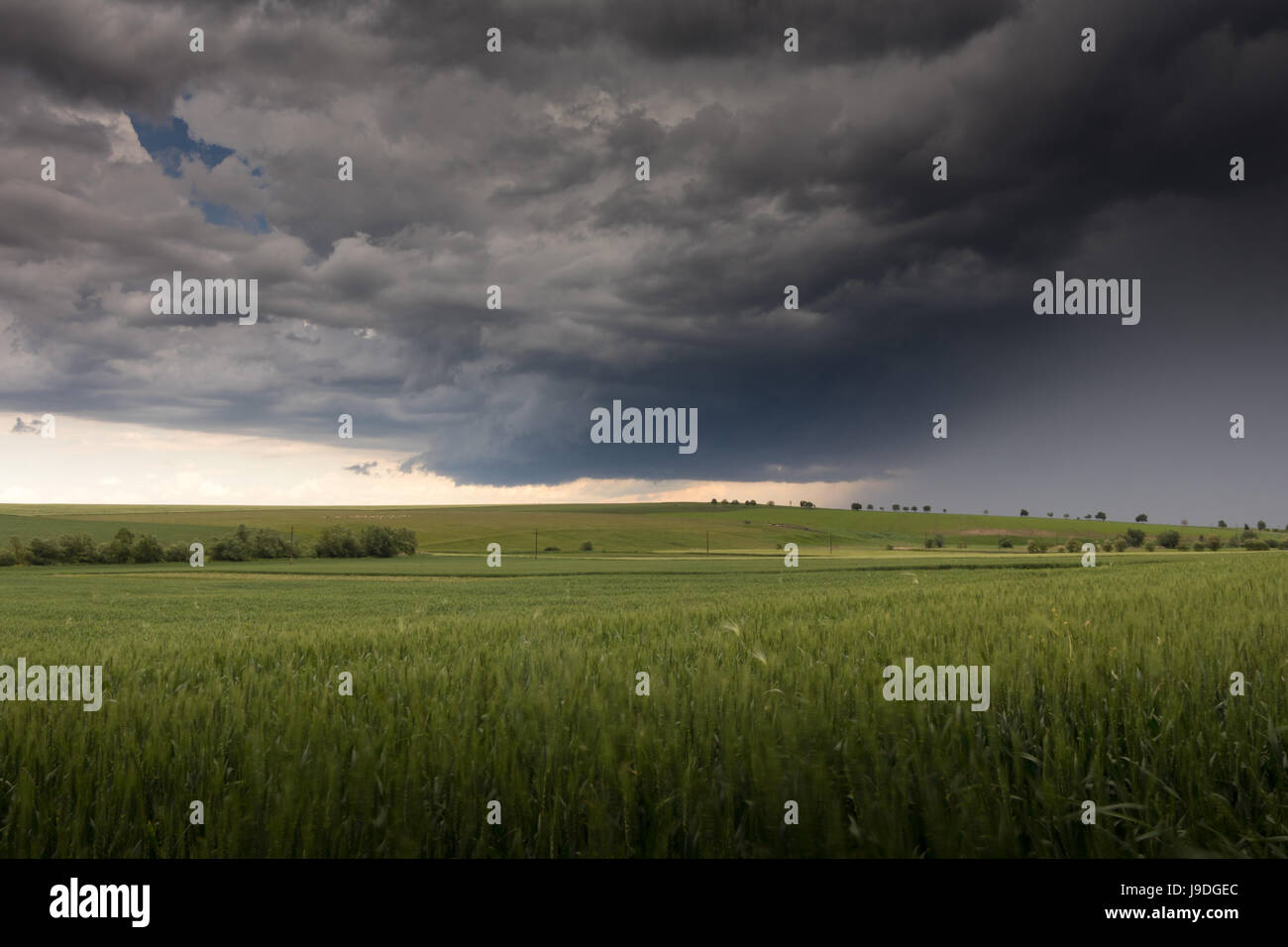 Dark clouds agriculture hi-res stock photography and images - Alamy