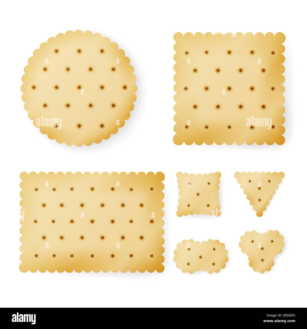 Simple cracker vector illustration on white background Stock Vector ...