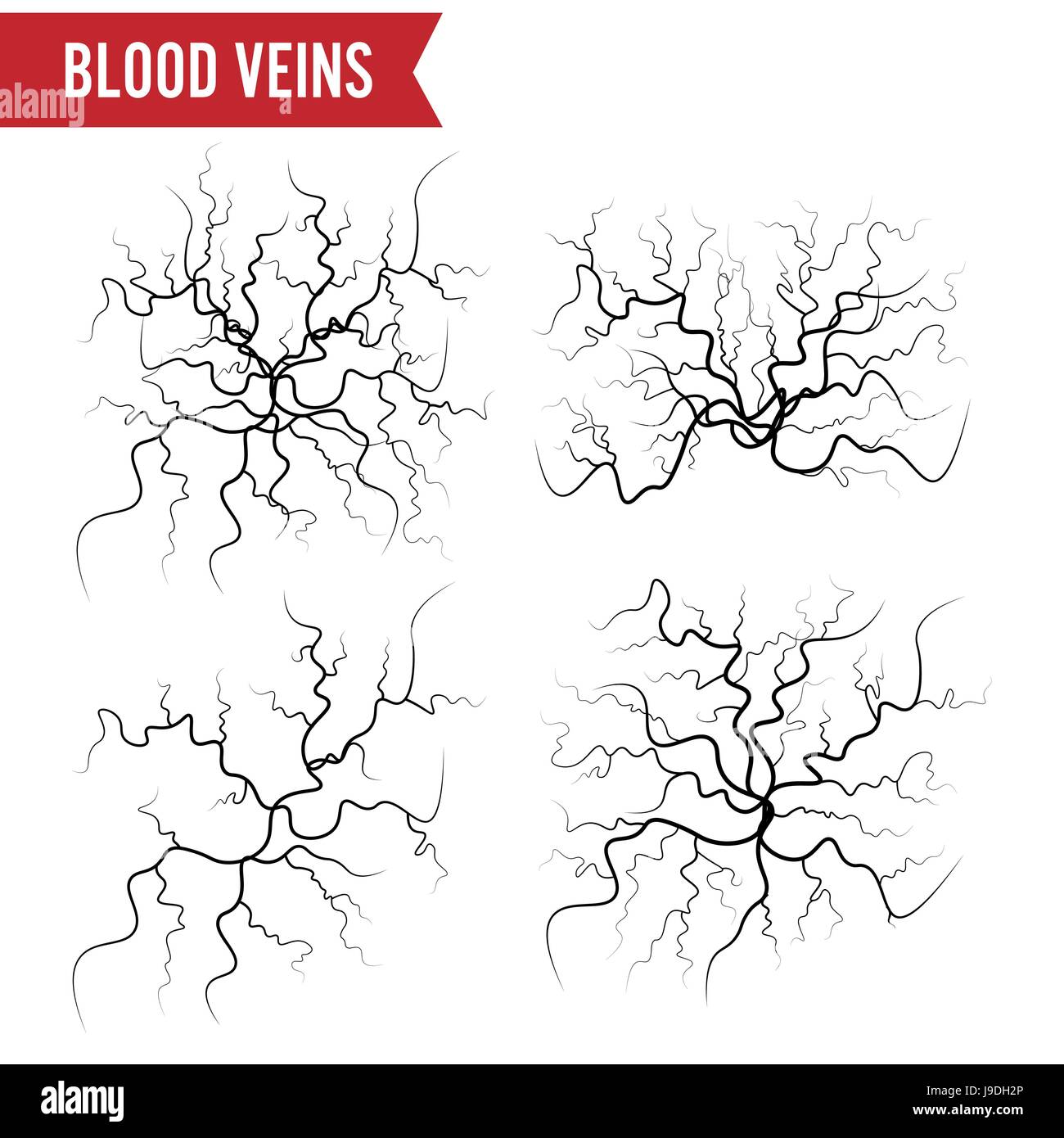 Human Blood Veins Vector. Blood Arteries Isolated On White. Set Of ...