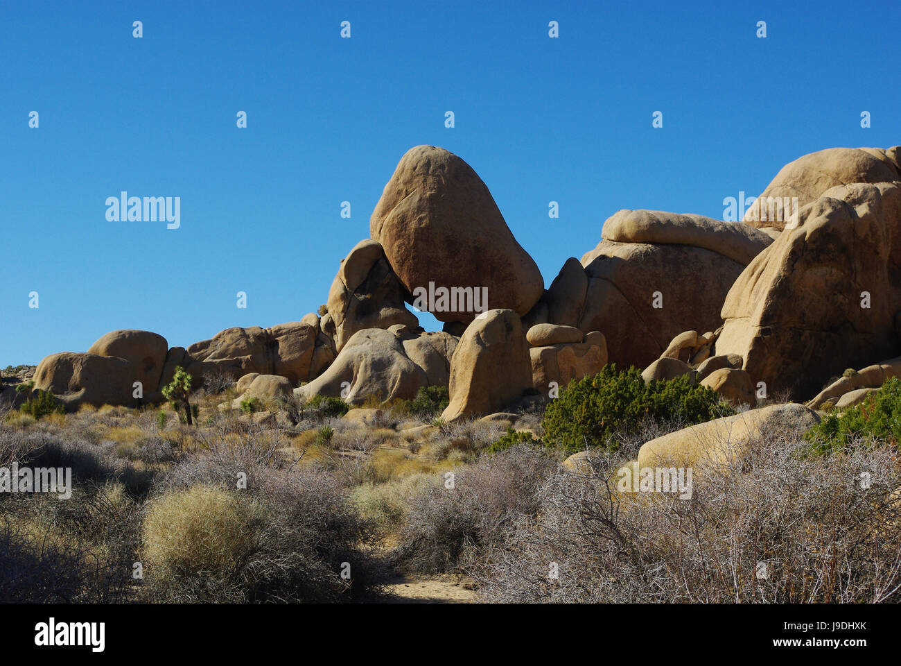 desert, wasteland, formation, rock, shrub, firmament, sky, unclouded ...