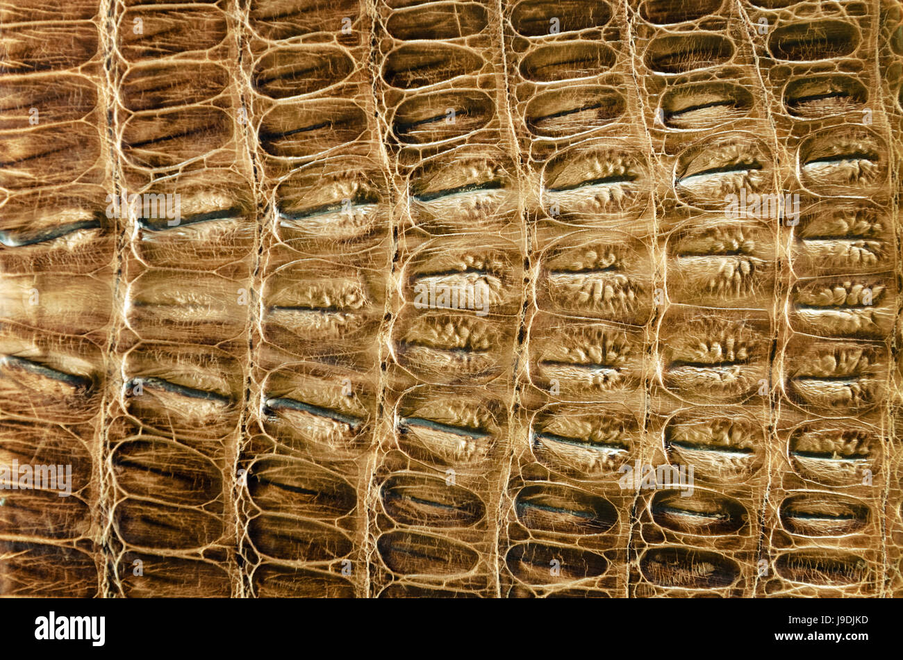 crocodile, leather, crocodile, rough, skin, leather, abstract, pattern ...