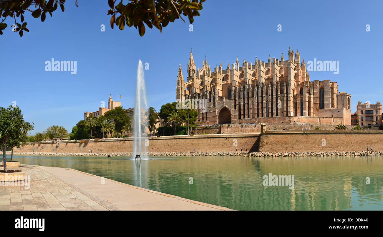 city, town, cathedral, mallorca, palms, fountain, palmtrees, city, town ...