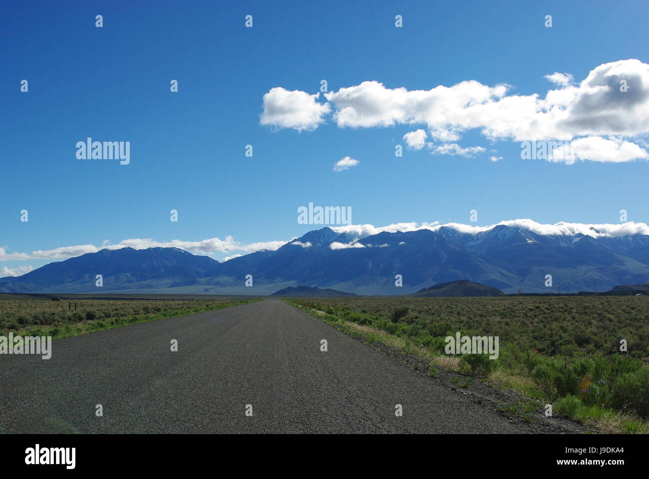 road to borah peak,idaho Stock Photo - Alamy