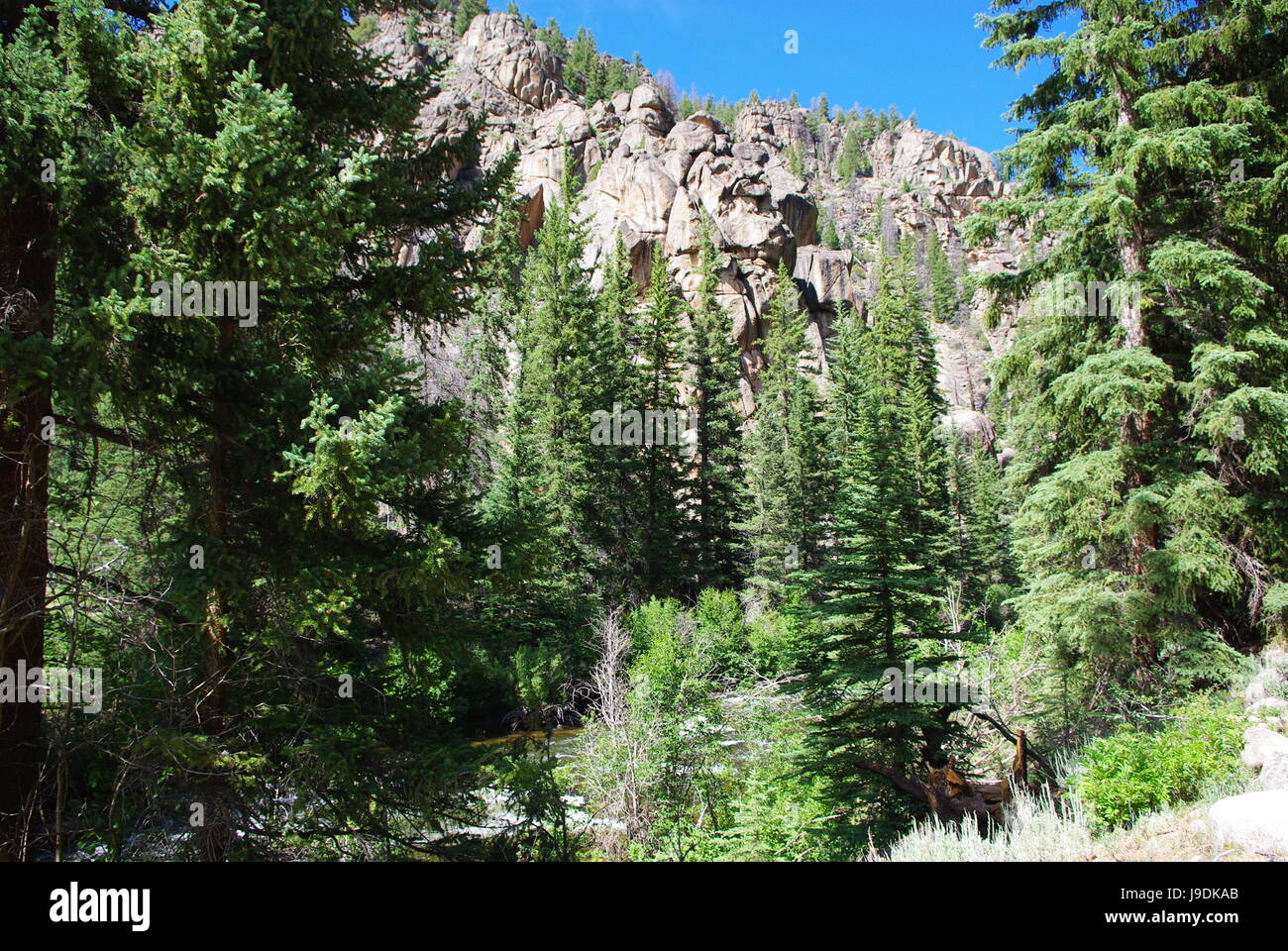 green, rock, conifer, conifer forest, mountain, forest, river, water ...