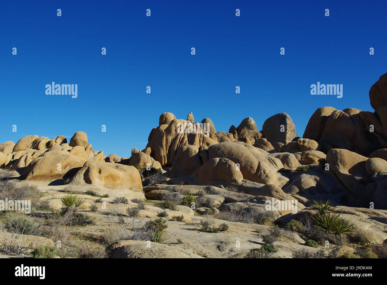 desert, wasteland, formation, rock, plant, blue, desert, wasteland ...