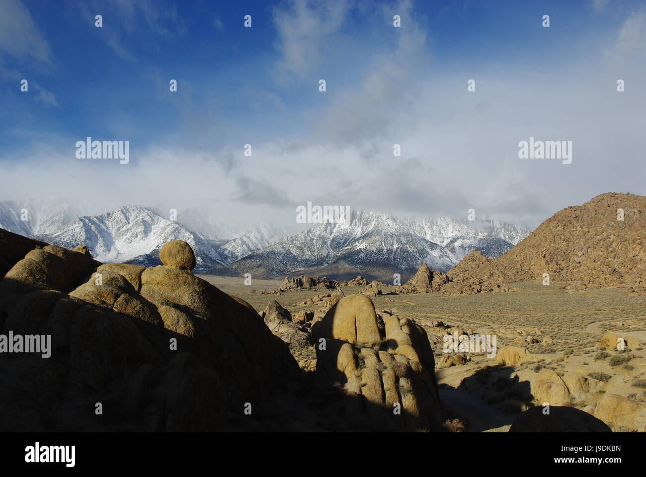 desert, wasteland, formation, rock, bush, mountain, blue, desert ...