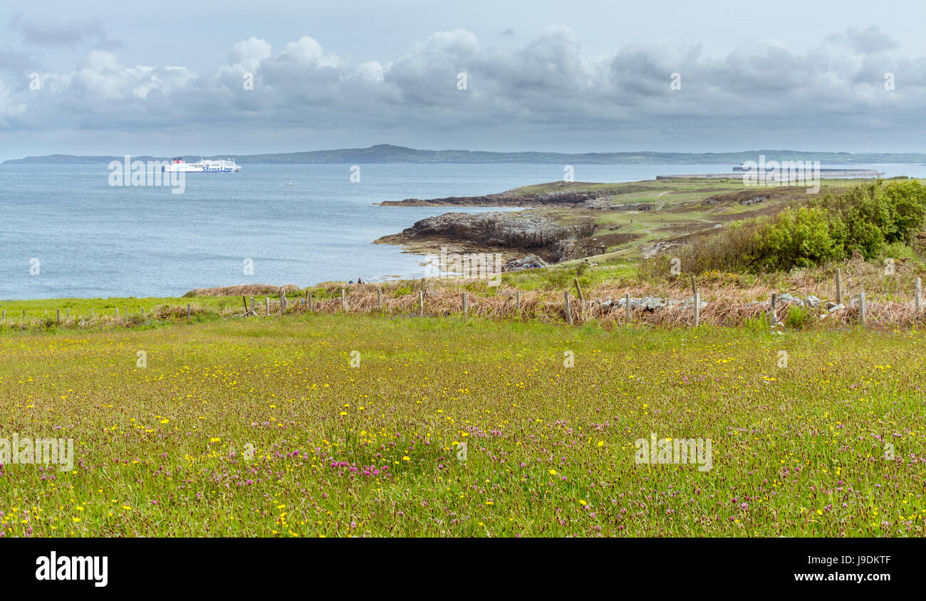 A view of the area around Breakwater Park and Holyhead mountain on ...
