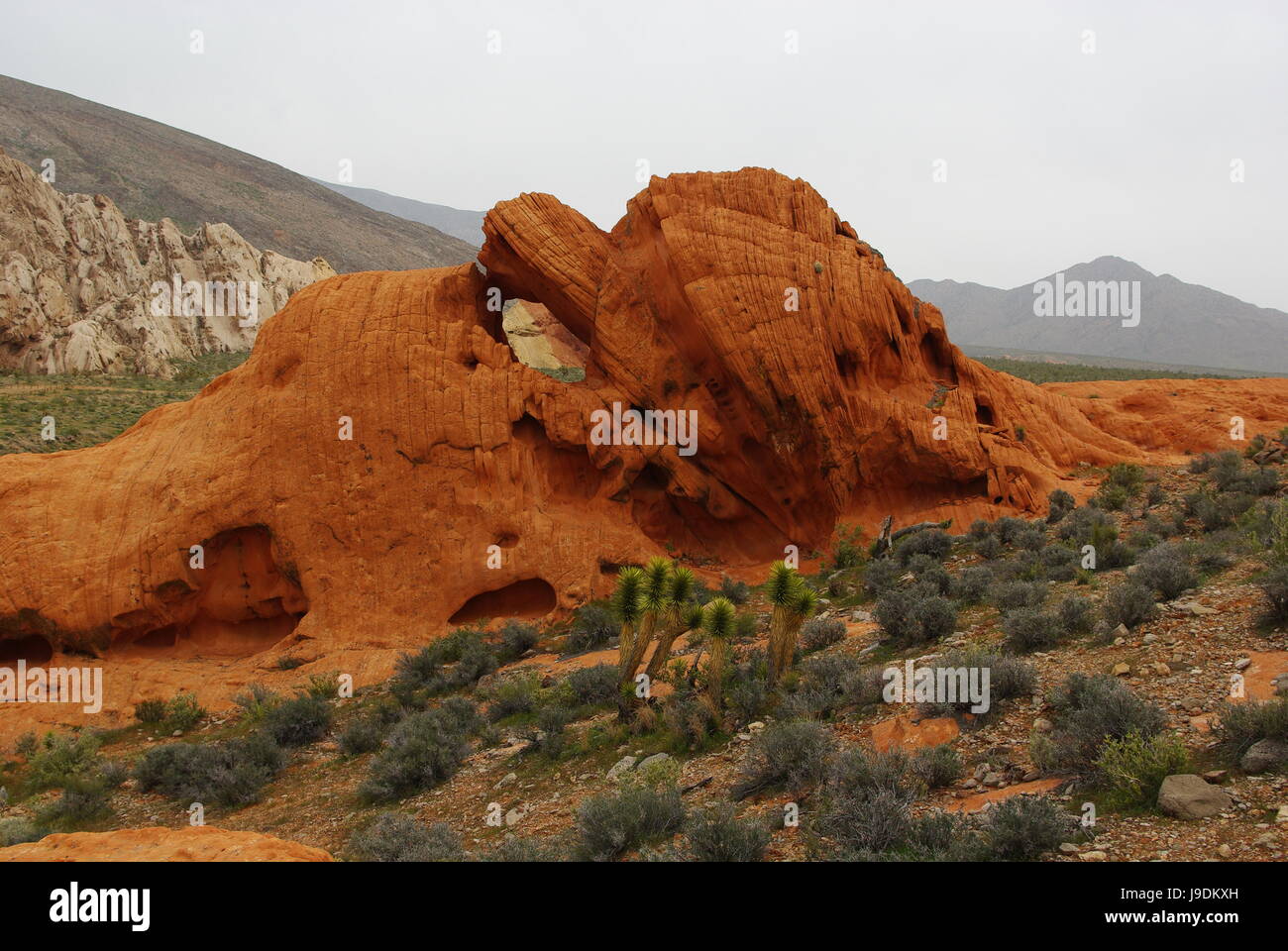 high desert rocks,nevada Stock Photo - Alamy