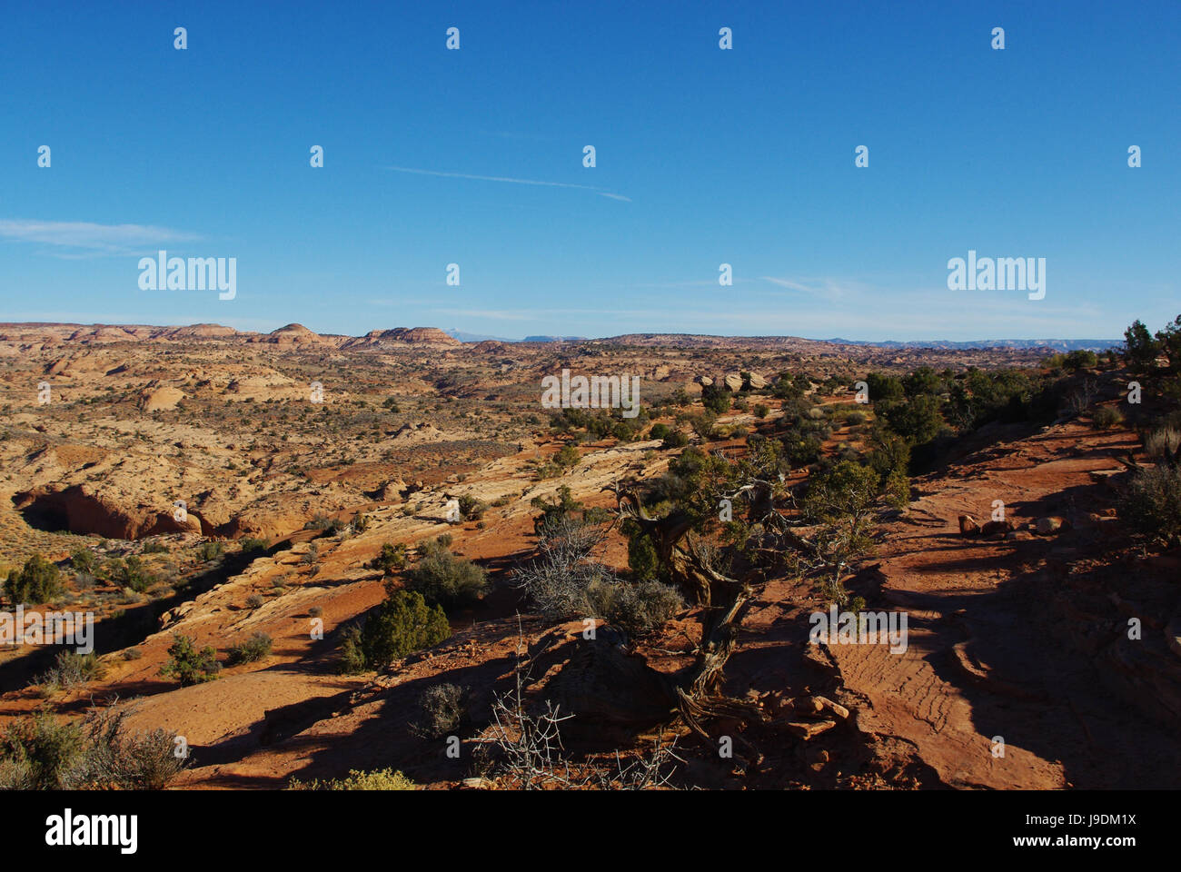high desert scenery,utah Stock Photo - Alamy