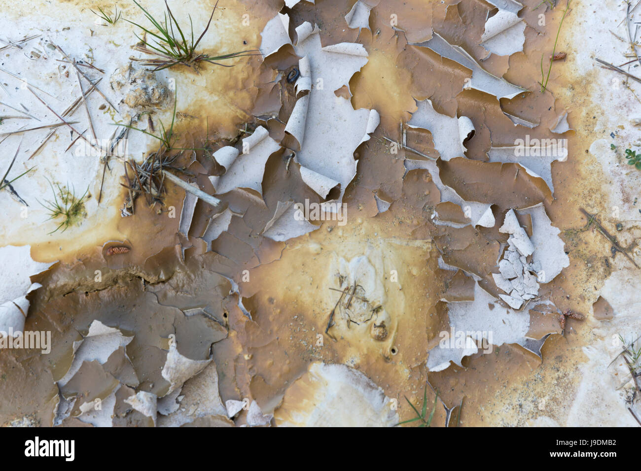 Burnt soil hi-res stock photography and images - Alamy