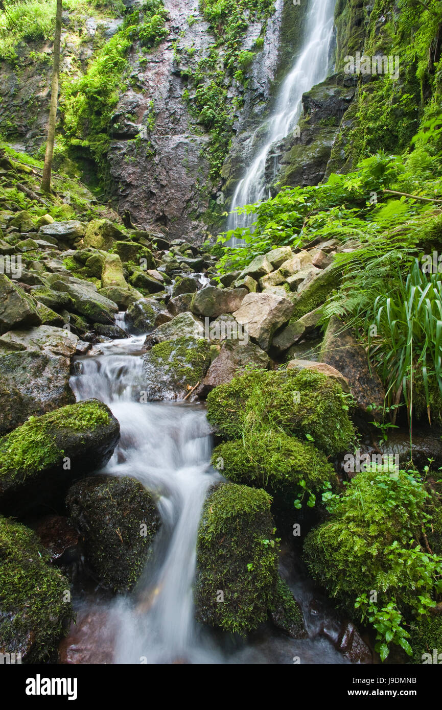 travel, fluent, waters, conservation of nature, sights, europe, stream ...