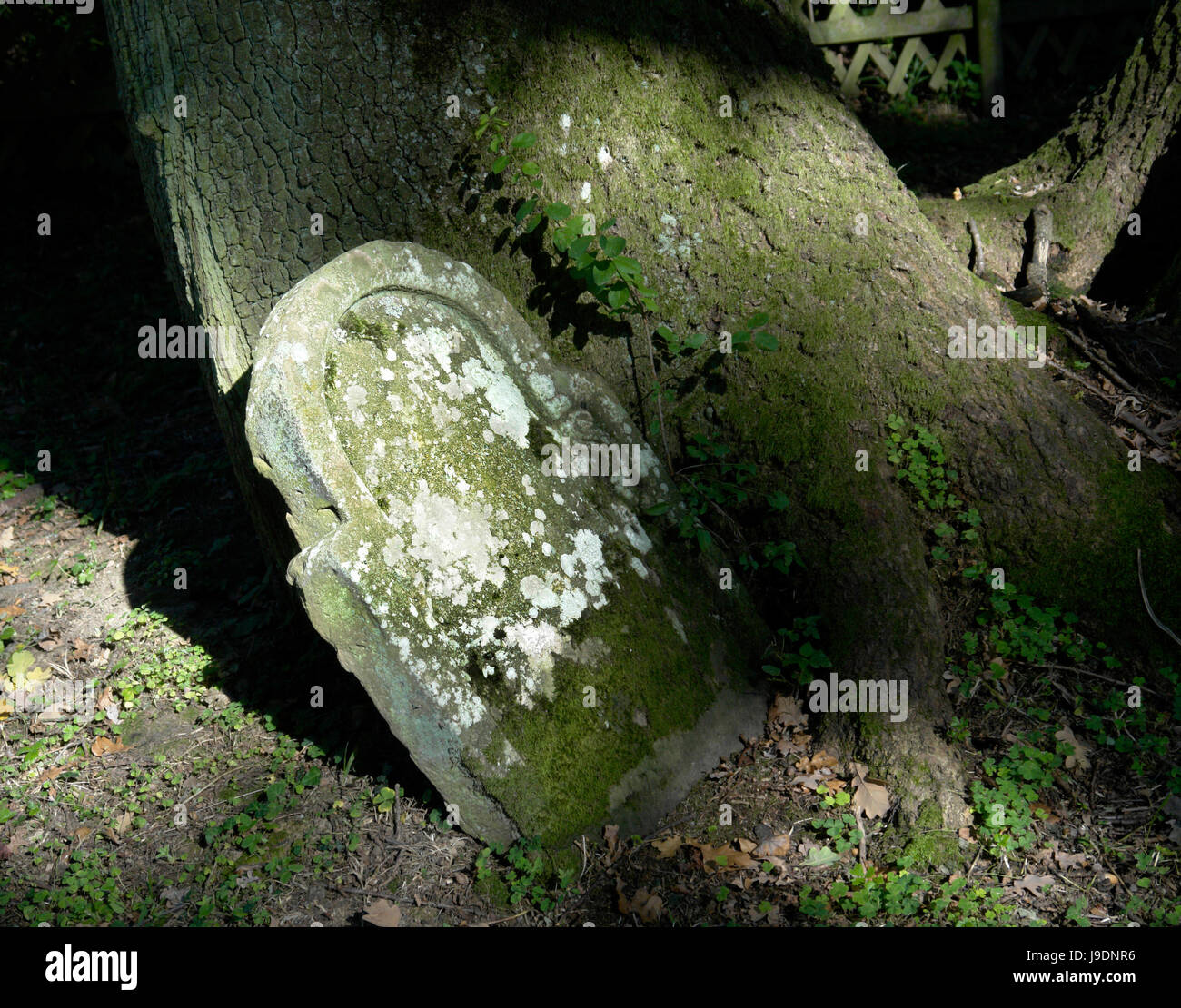 Tombstone slab hi-res stock photography and images - Alamy