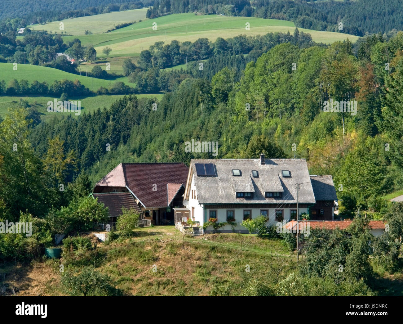 hill, black forest, farmhouse, idyllic, forest, bathing, corridor ...