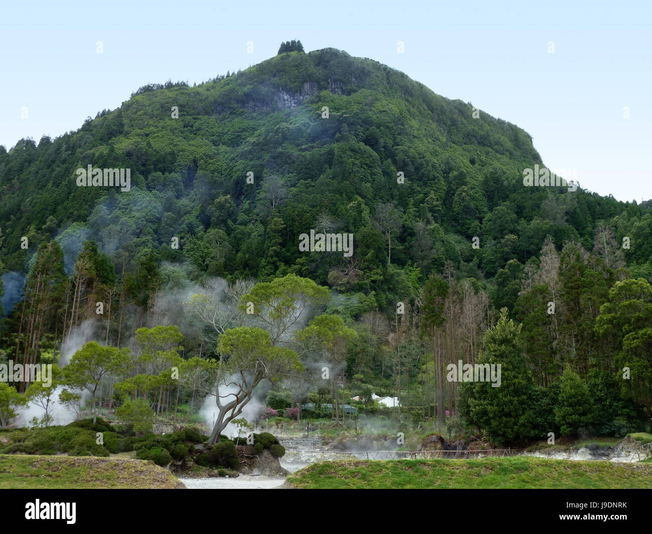 steam, azores, nature, tree, hill, steam, outside, shrub, portugal ...