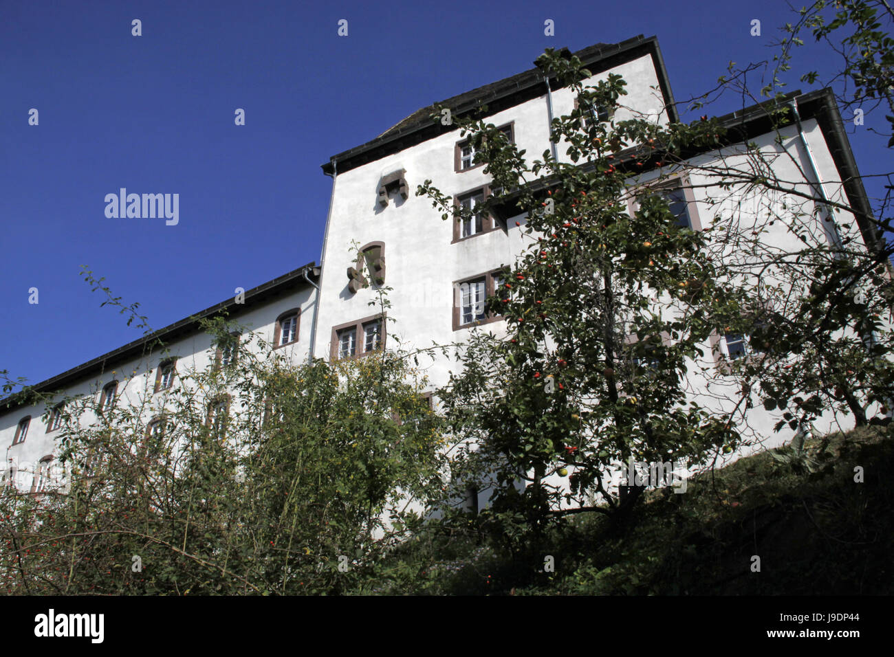 schloss fuerstenberg (porcelain museum Stock Photo - Alamy