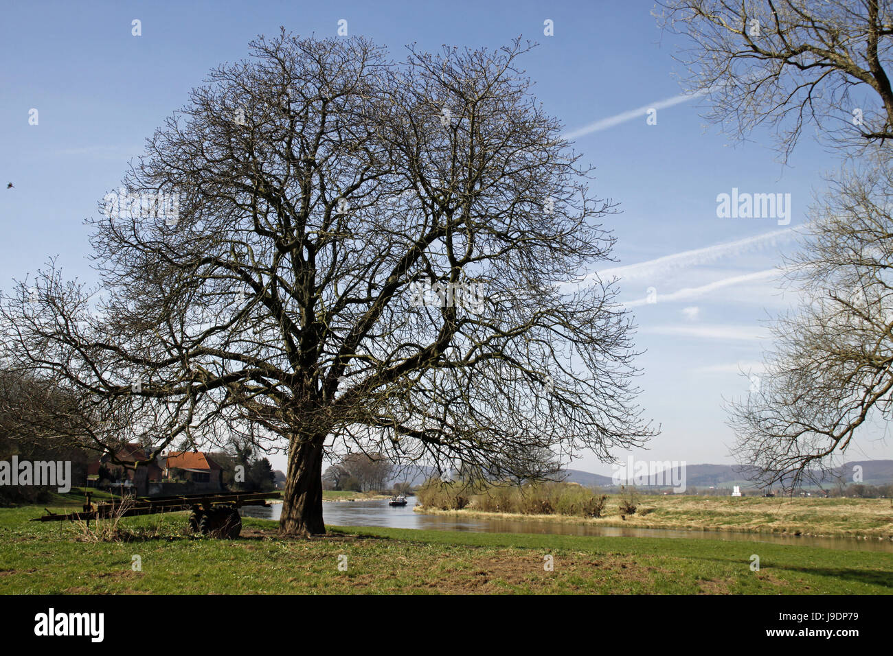 weser, scenery, countryside, nature, river, water, weser, lower saxony ...