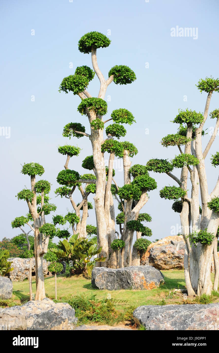 temple, art, culture, model, design, project, concept, plan, draft ...