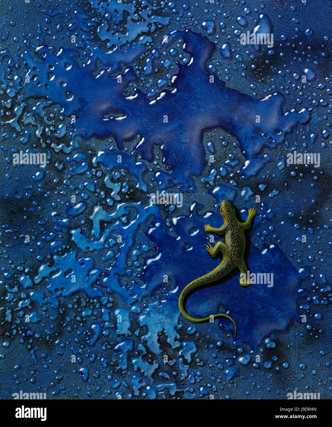 reptile, saurian, painting, exotic, wet, paintings, drop, drip, drops ...