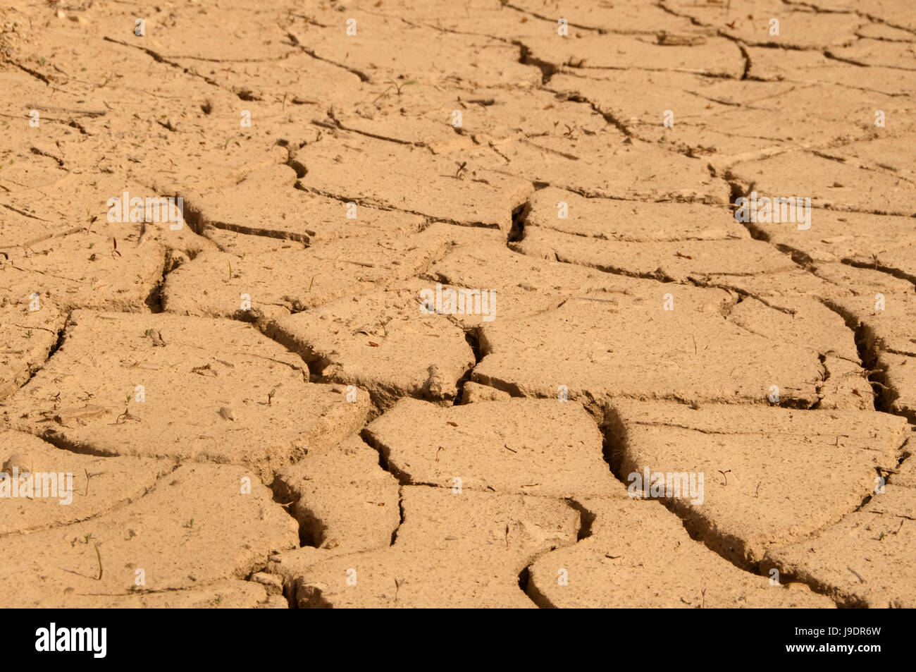ground, soil, earth, humus, dry, dried up, barren, pattern, season ...
