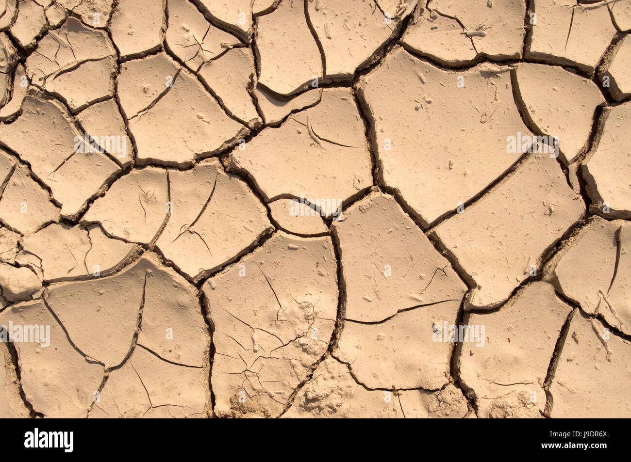 ground, soil, earth, humus, dry, dried up, barren, pattern, season ...