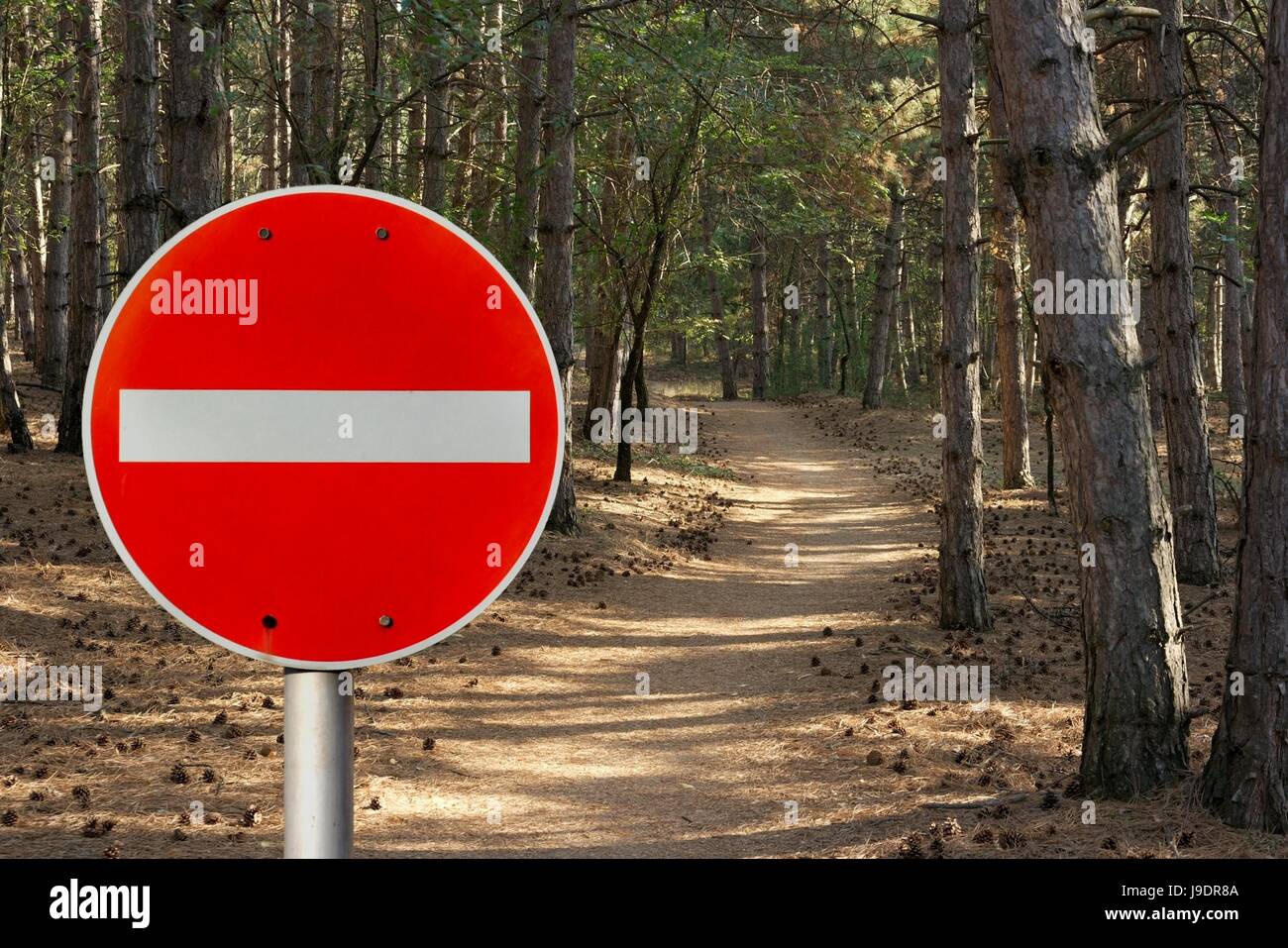 sign, signal, travel, traffic, transportation, enter, roadside, road ...