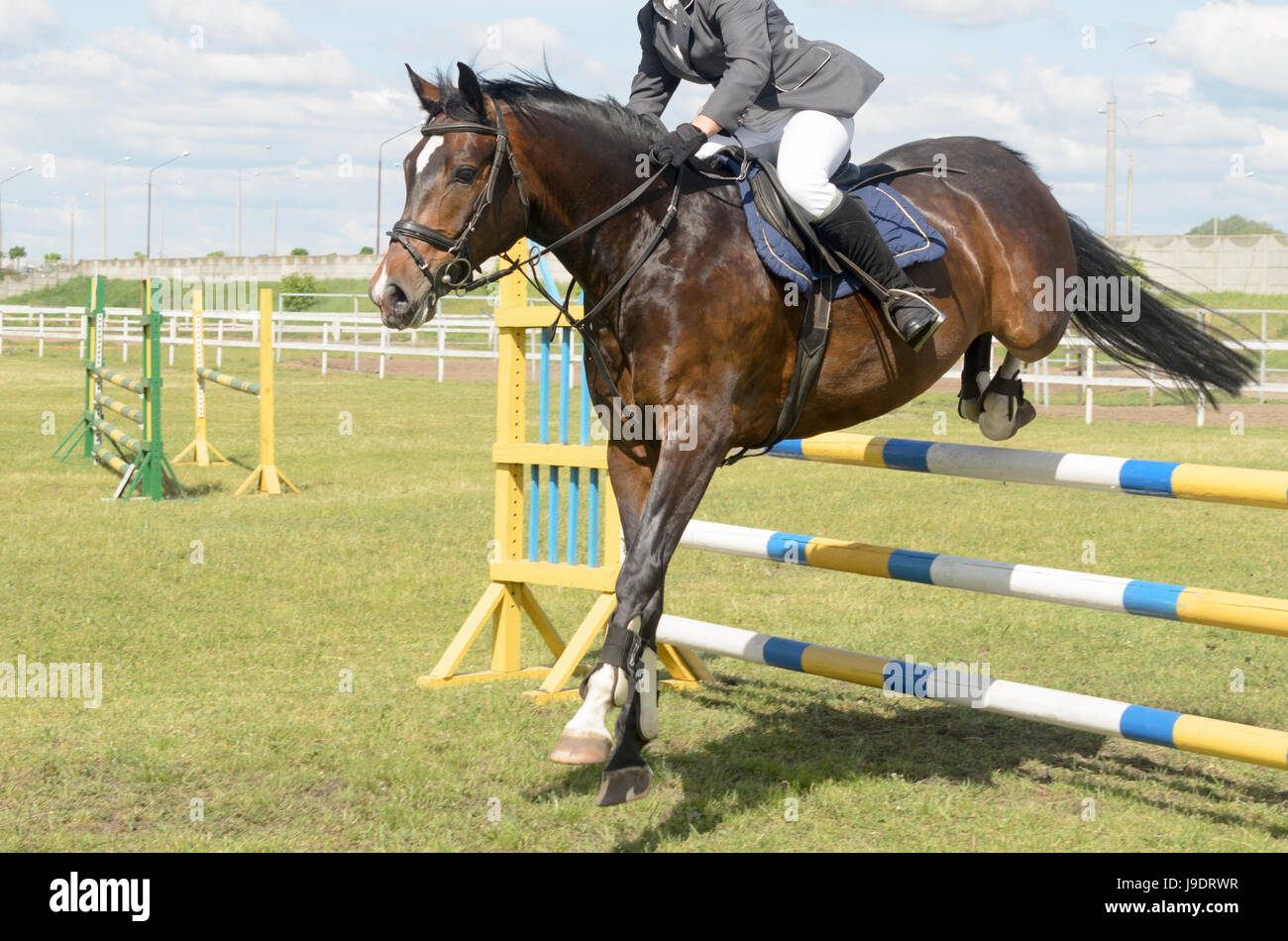Showjumping Competitions High Resolution Stock Photography and Images ...