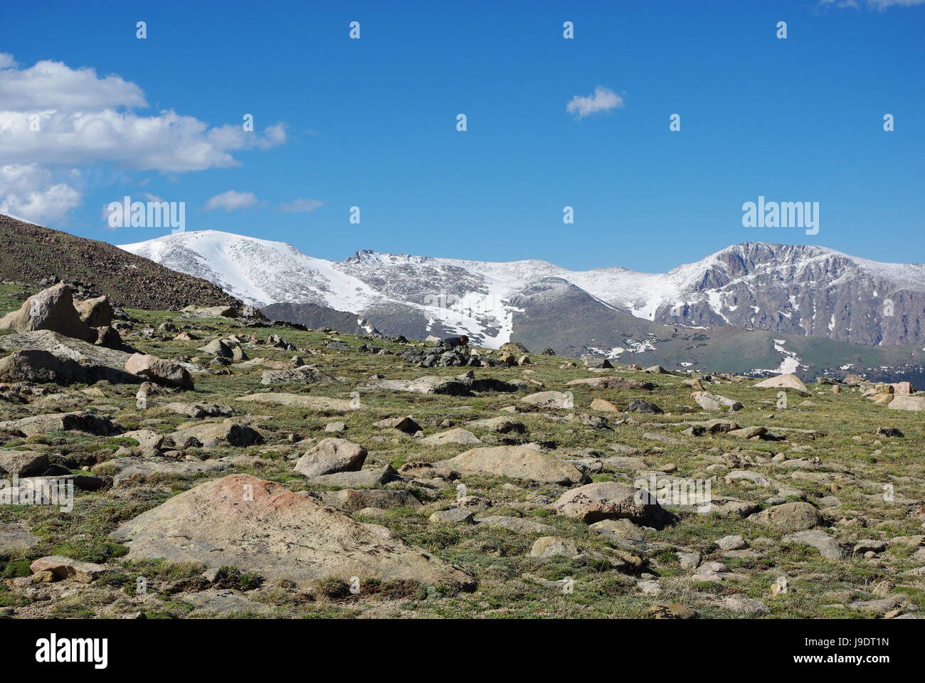 stone, rock, mountain range, high mountains, snow, mountain, blue ...