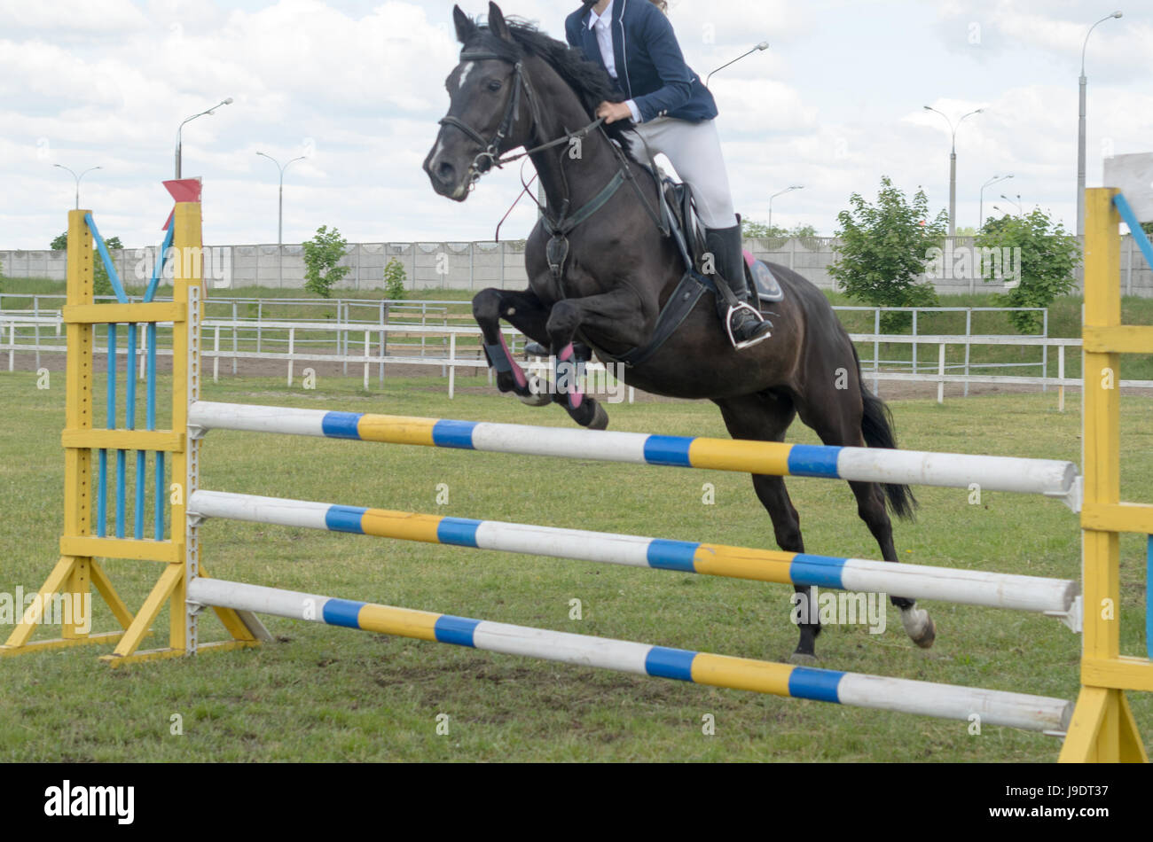 Showjumping Competitions High Resolution Stock Photography and Images ...