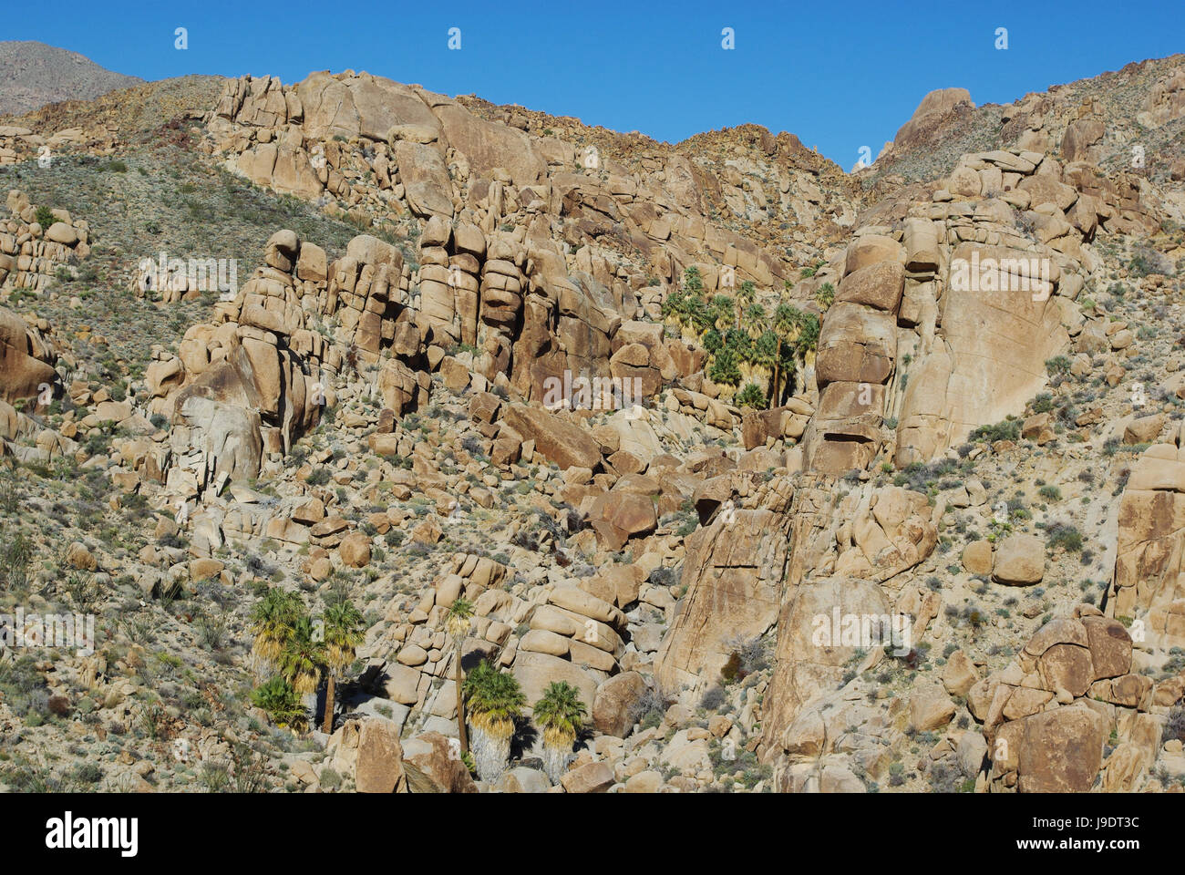 desert, wasteland, formation, rock, palm tree, Canyon, plant, blue ...