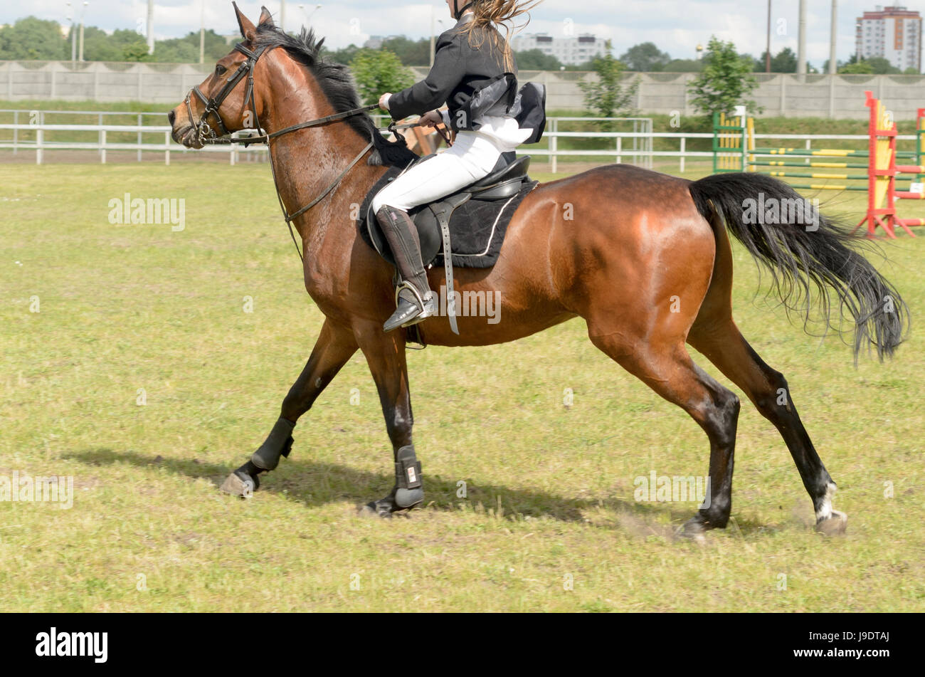 Competitions in equestrian sports by young athletes with overcoming ...