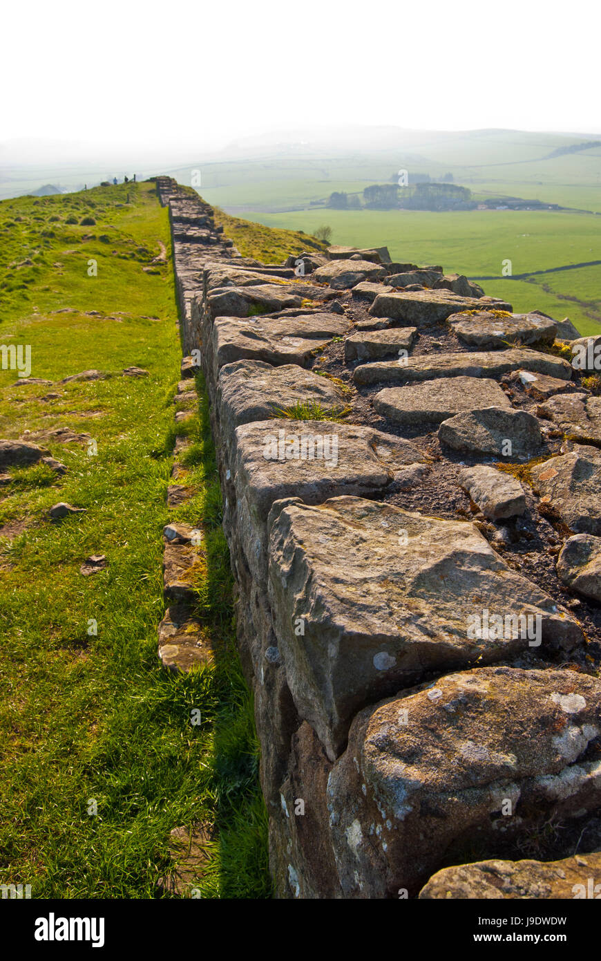 abandon, go away, depart, disappear, vanishing, walk, go, going ...