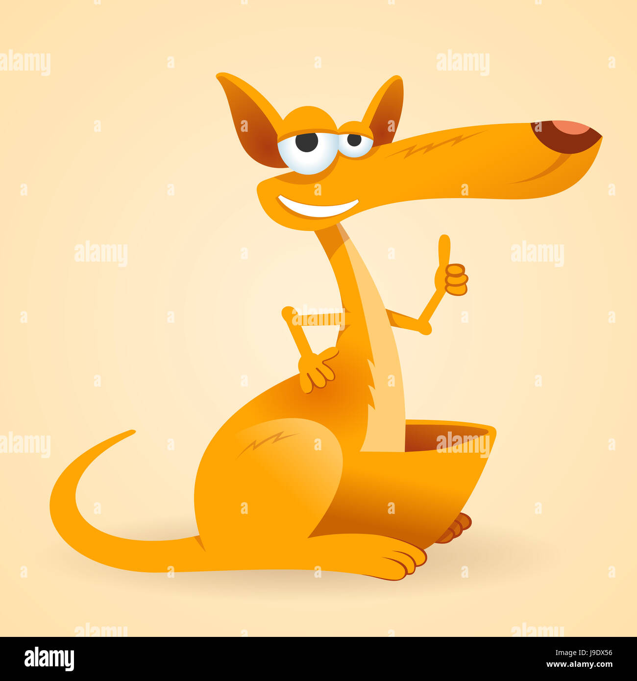 isolated, animal, mammal, illustration, wildlife, kangaroo, cartoon ...