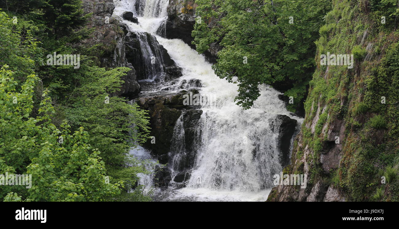 Reekie Linn waterfall Scotland May 2017 Stock Photo - Alamy
