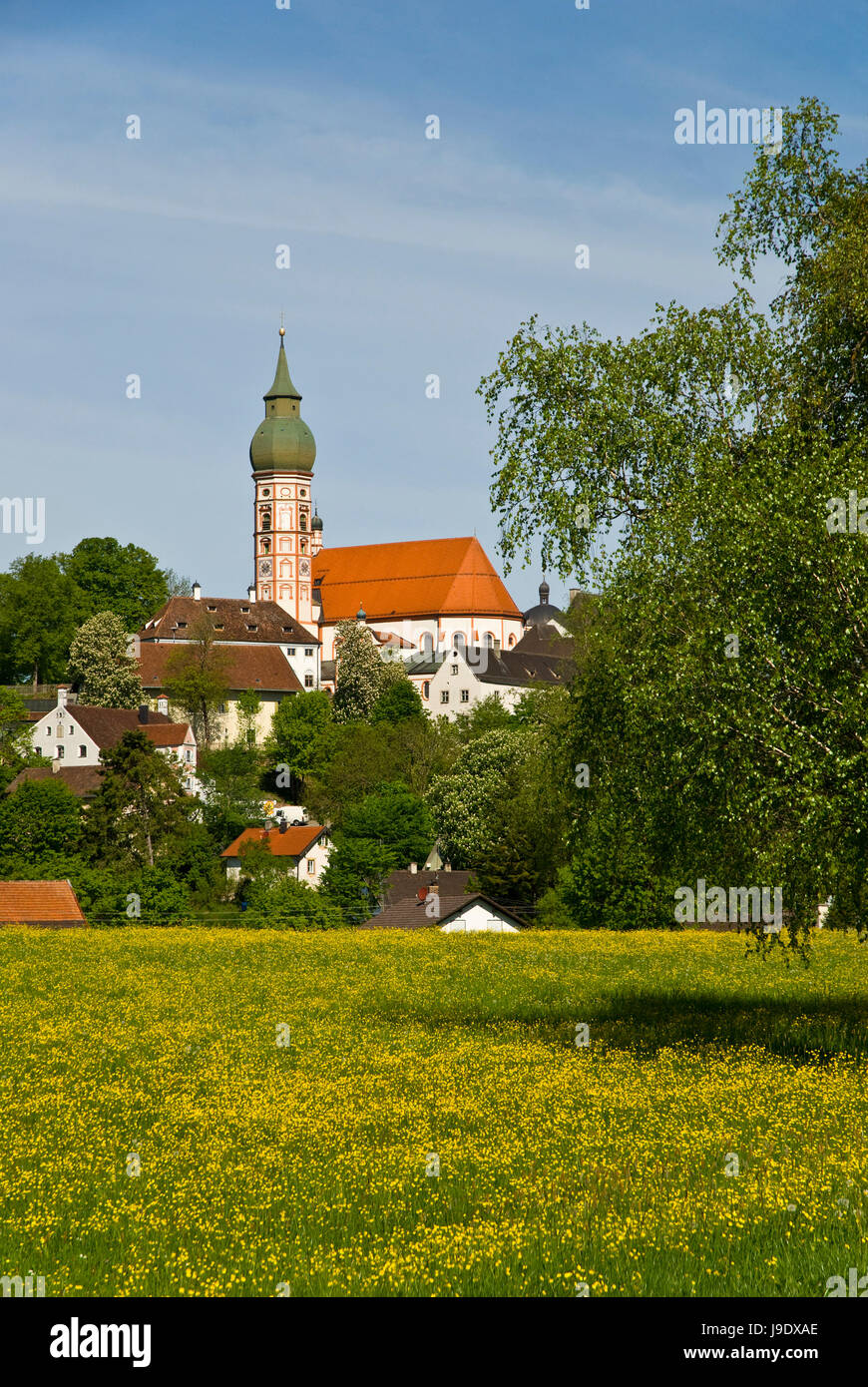 church, tree, trees, monastery, convent, pilgrimage, meadow, mountain ...