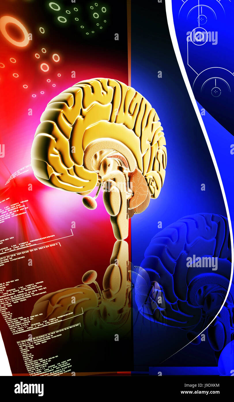 health, medicinally, medical, graphics, colour, human, human being ...