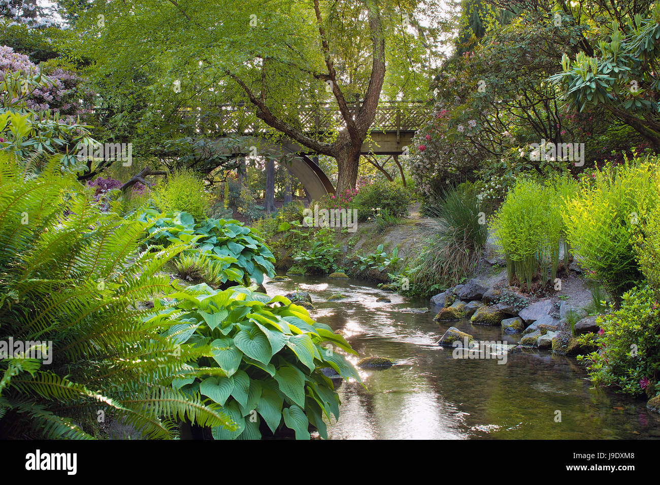 wood, bridge, stream, plants, creek, tree, trees, public, wood, bridge ...