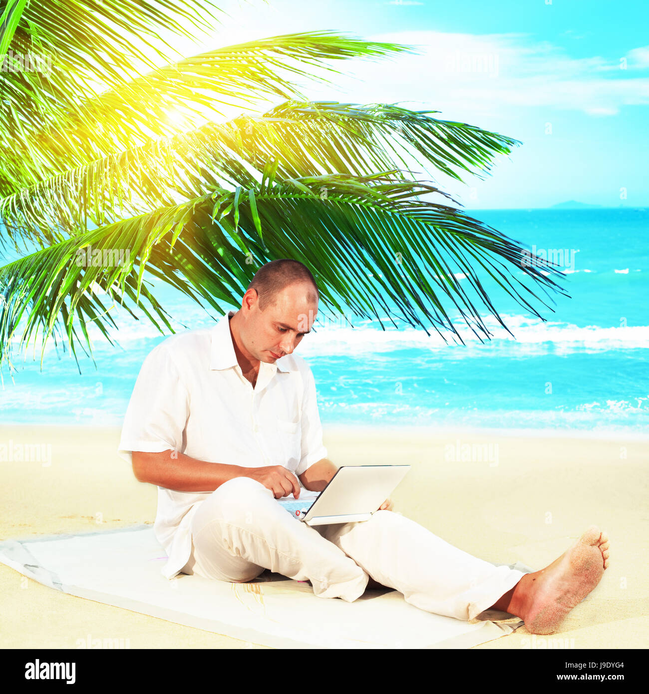 Pamtree hi-res stock photography and images - Alamy