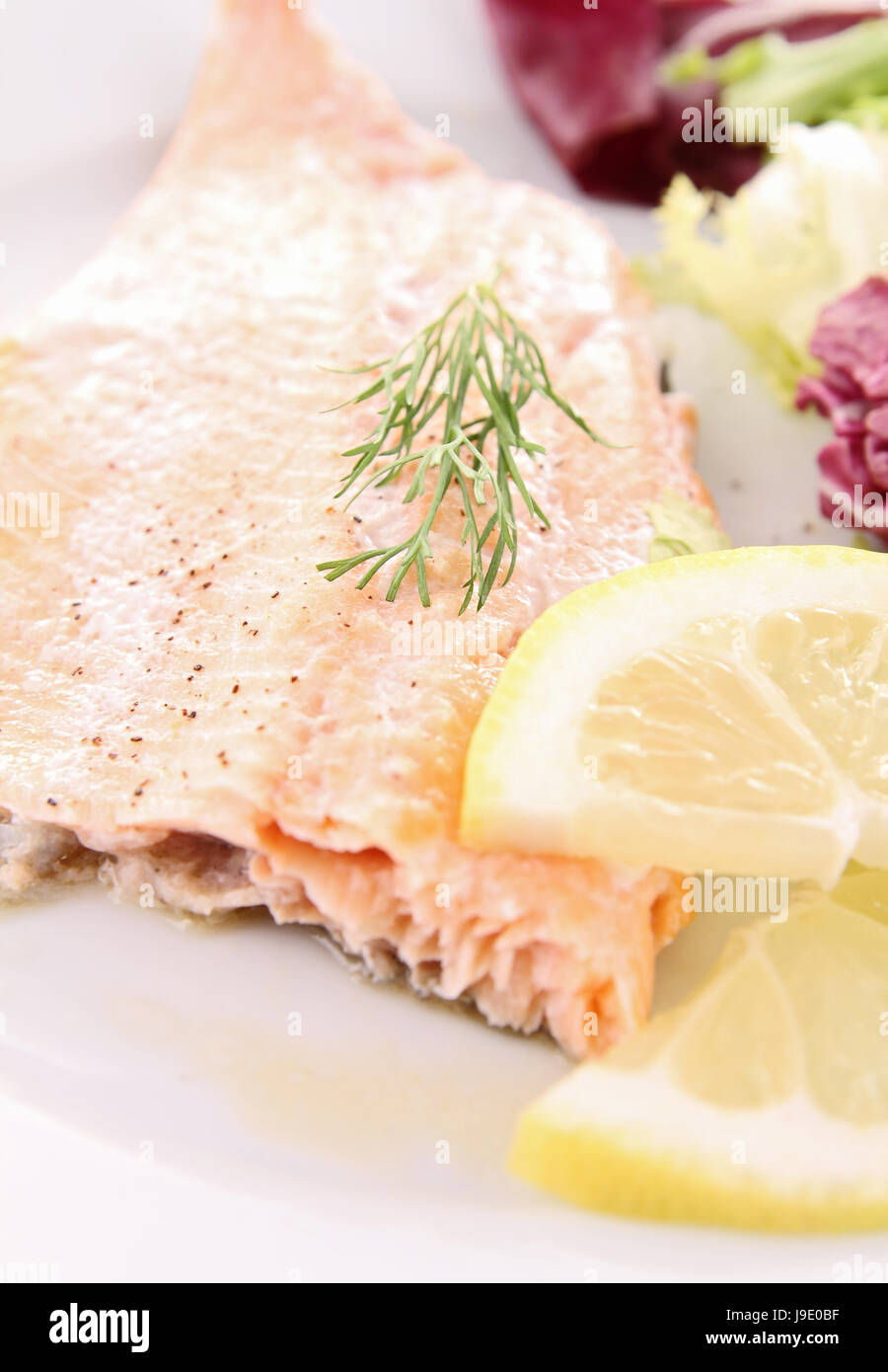 gastronomy, angle, fish, kitchen, cuisine, vegetable, diet, trout, food ...
