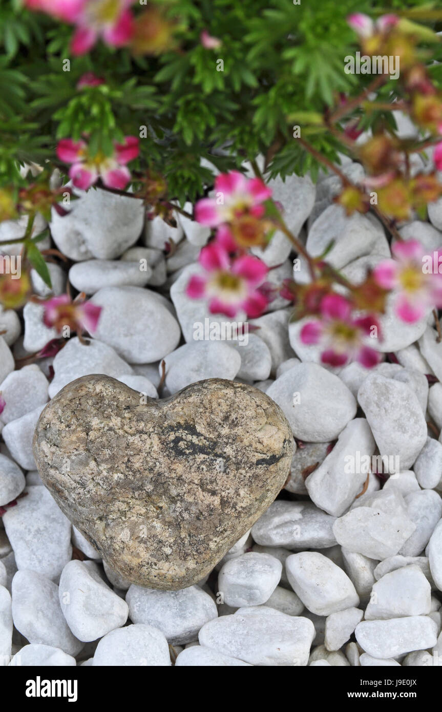 Pink heart of pebbles hi-res stock photography and images - Alamy
